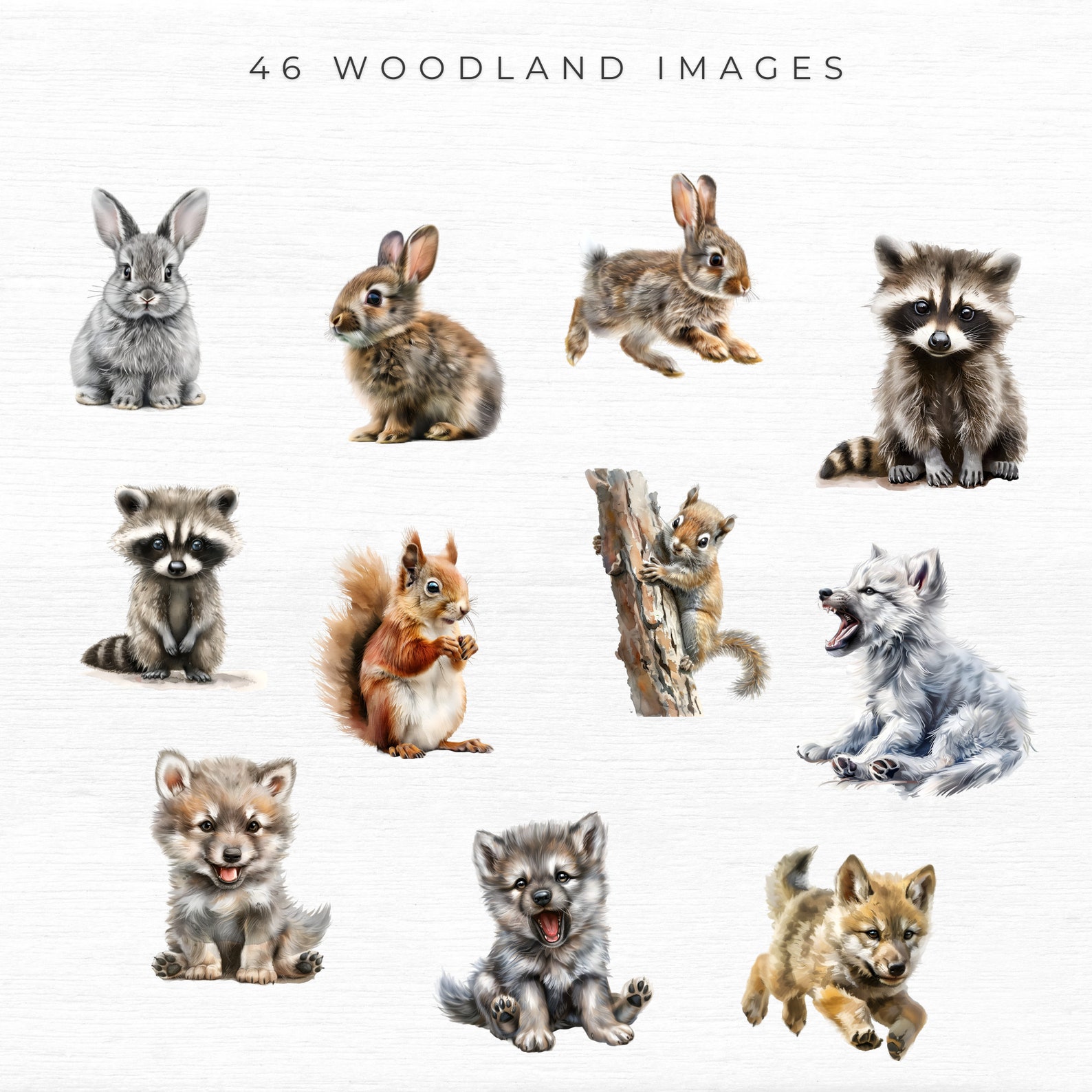 46 Woodland Clipart, Cute Baby Animals Clipart, Watercolor Woodland ...