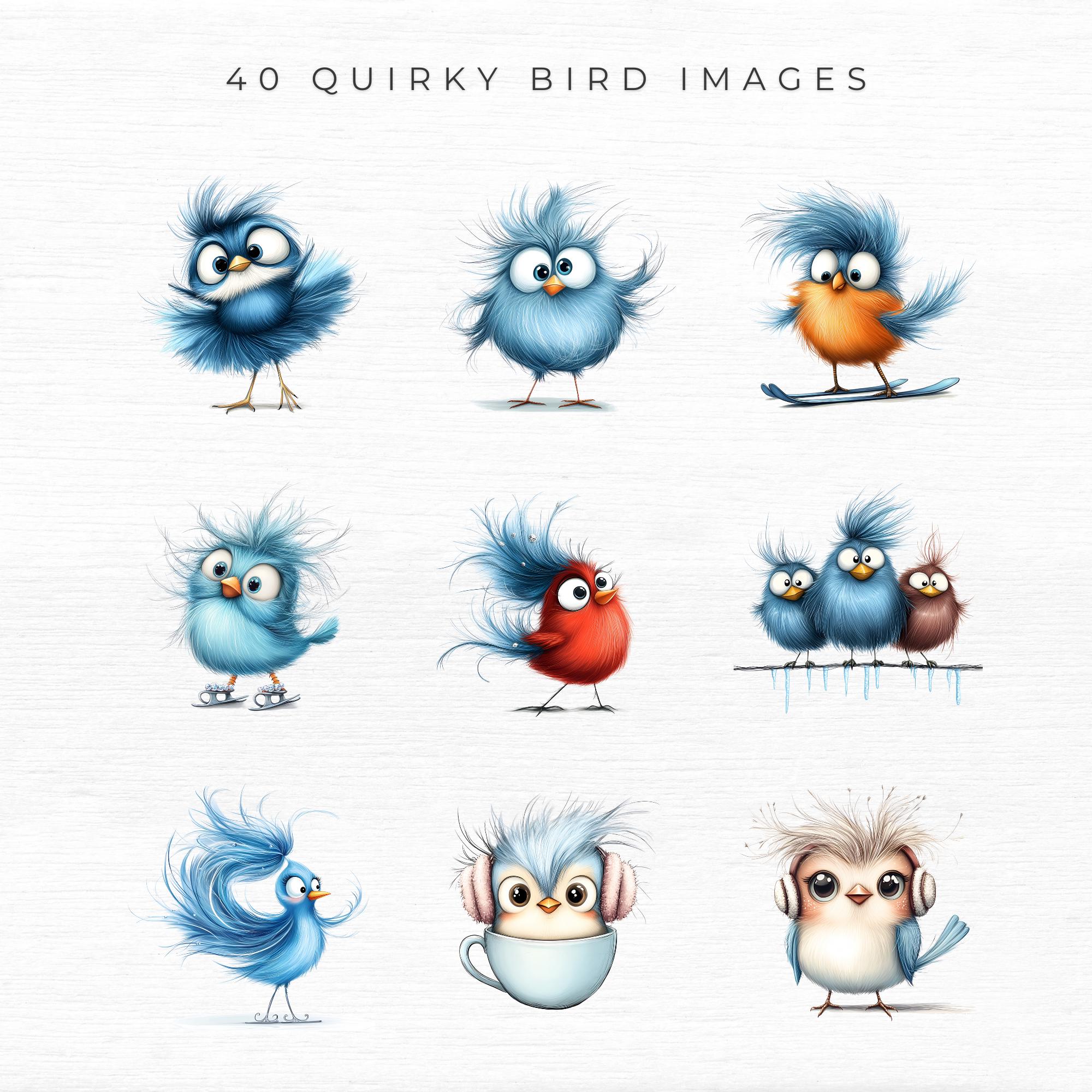 Quirky Birds Clipart, Funny Bird Png, Sarcastic Birds, Whimsical Birds ...