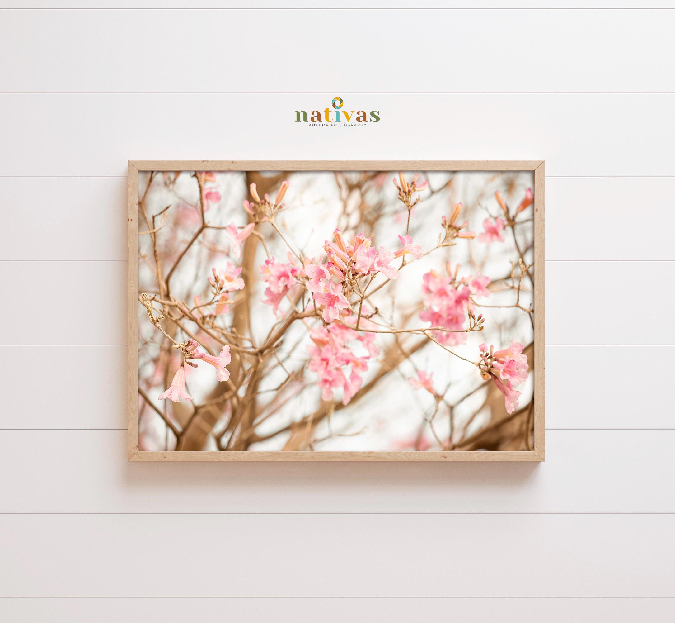 Pink Flower Print, Fine Art Photography, Flowers Wall Art, Fine Art ...