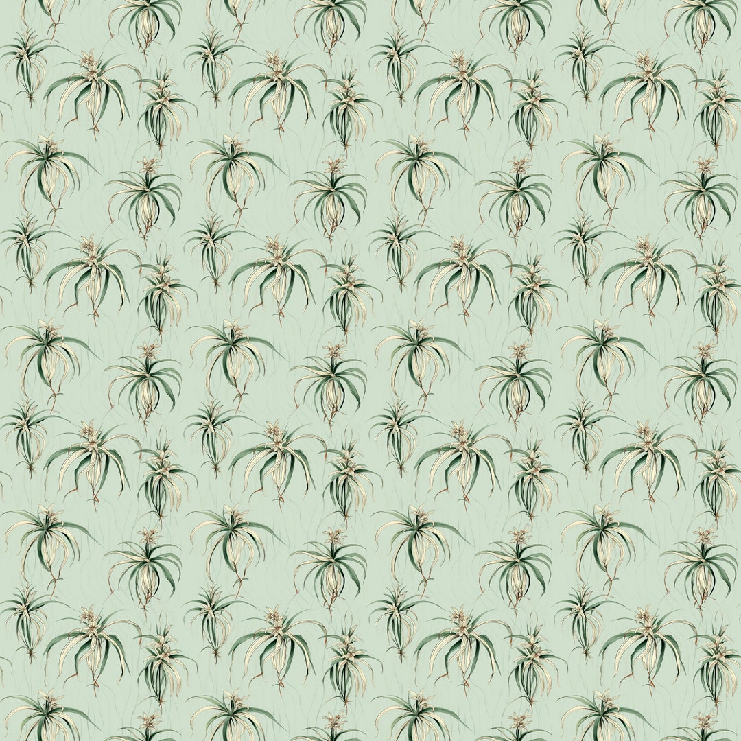 Spider Plant Wallpaper Part 2, Botanical Floral, Vintage Flowers ...