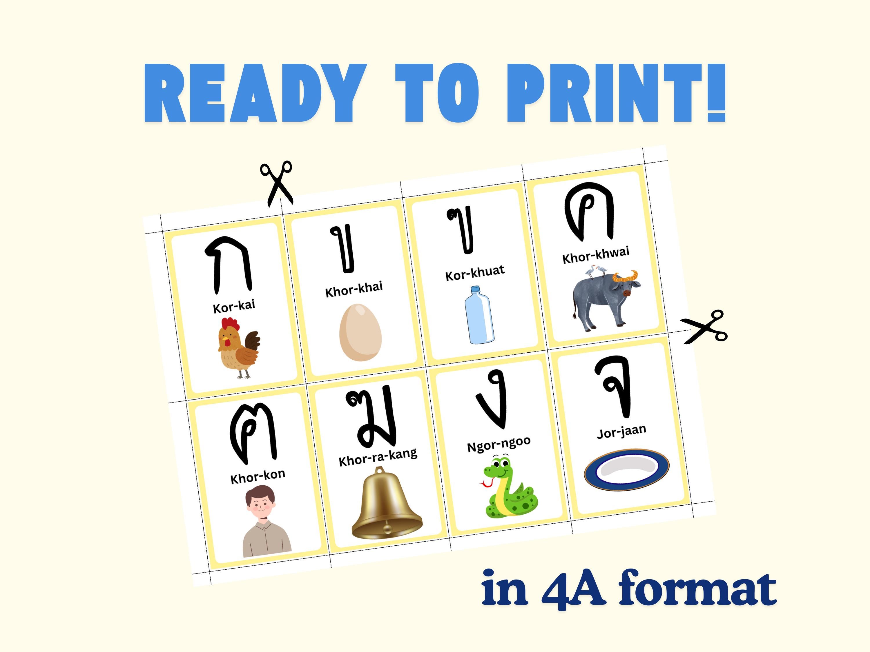 Thai Alphabet Flashcards With Picture, Flash Cards Toddlers Preschool ...