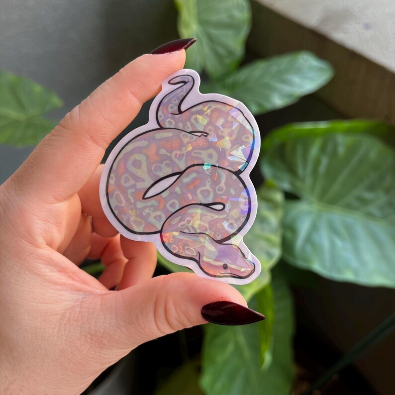 Ball Python Sticker-- Pastel Snake Vinyl Sticker MULTI DESIGNS! - Etsy
