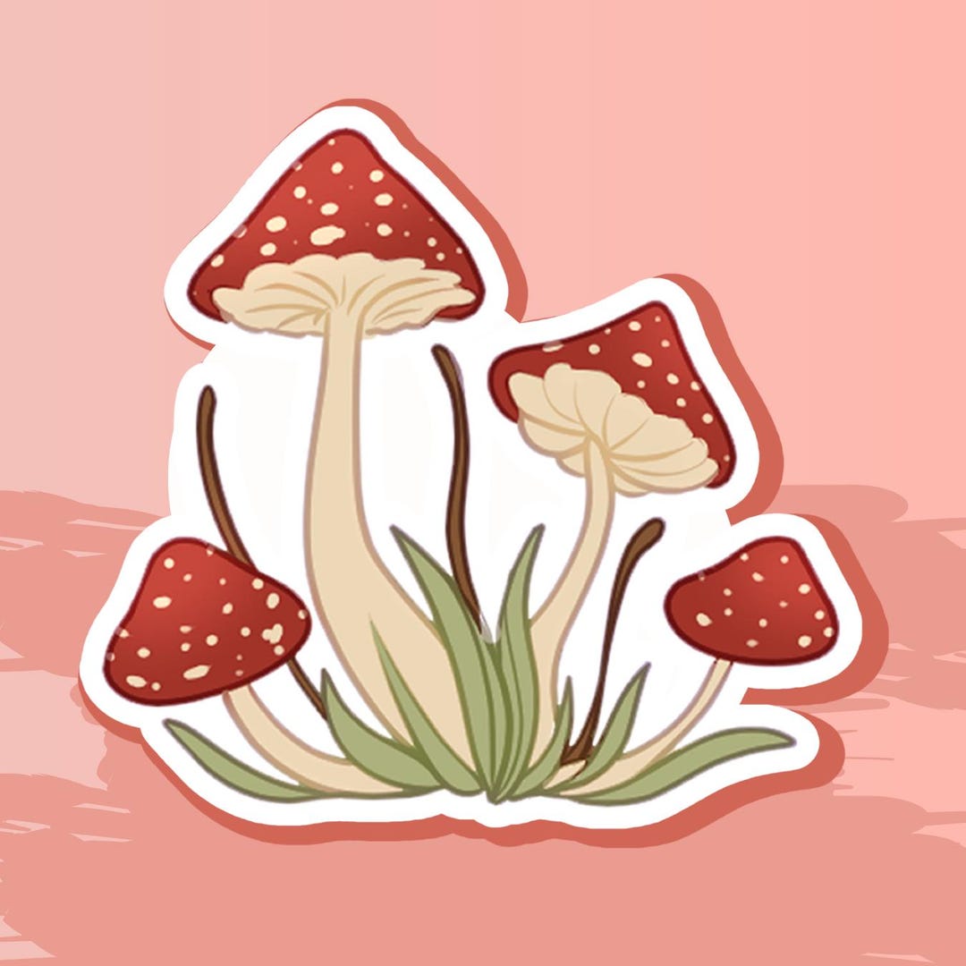 Cottagecore Fly Amanita Mushroom Sticker: Journal & Water Bottle Decal ...
