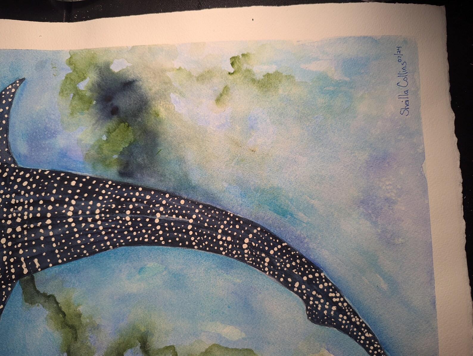 Beautiful Whale Shark-original-watercolor Painting - Etsy
