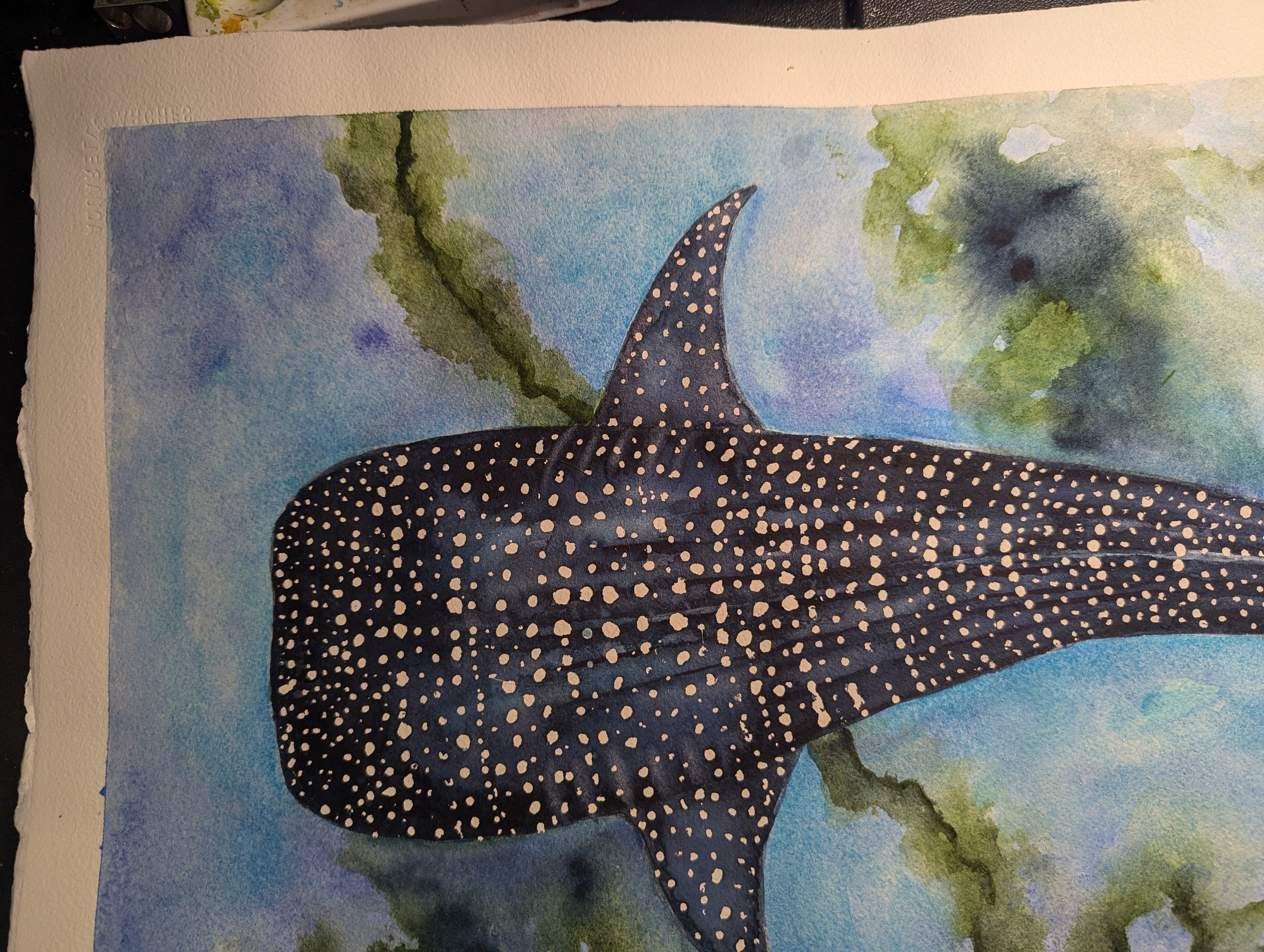 Beautiful Whale Shark-original-watercolor Painting - Etsy