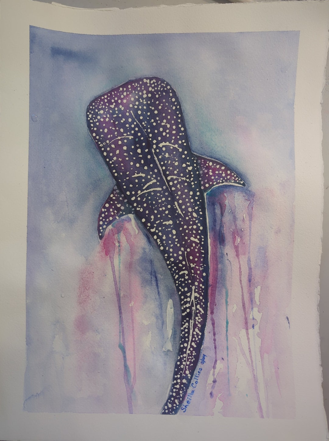 Whale Shark Watercolor Painting - Etsy