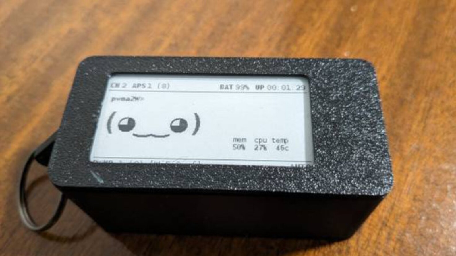 Pwnagotchi Device Plug and Play FREE SHIPPING - Etsy