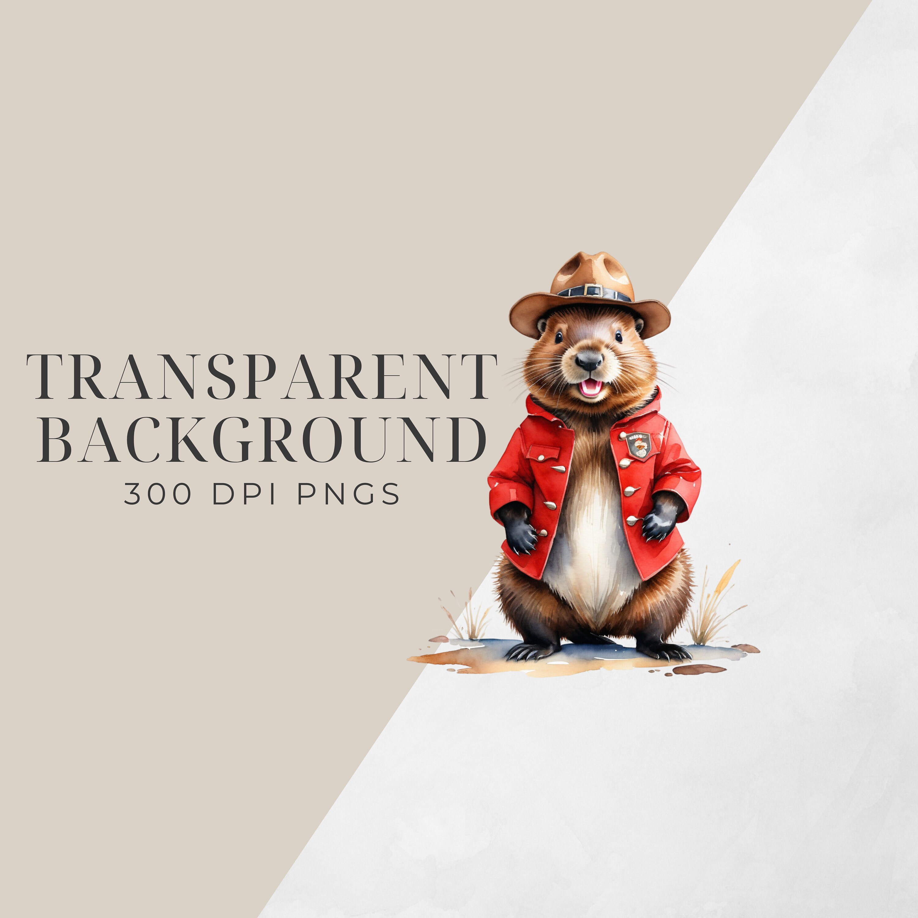 Cute Beaver Mountie Clipart Watercolor SINGLE IMAGE Commercial License ...