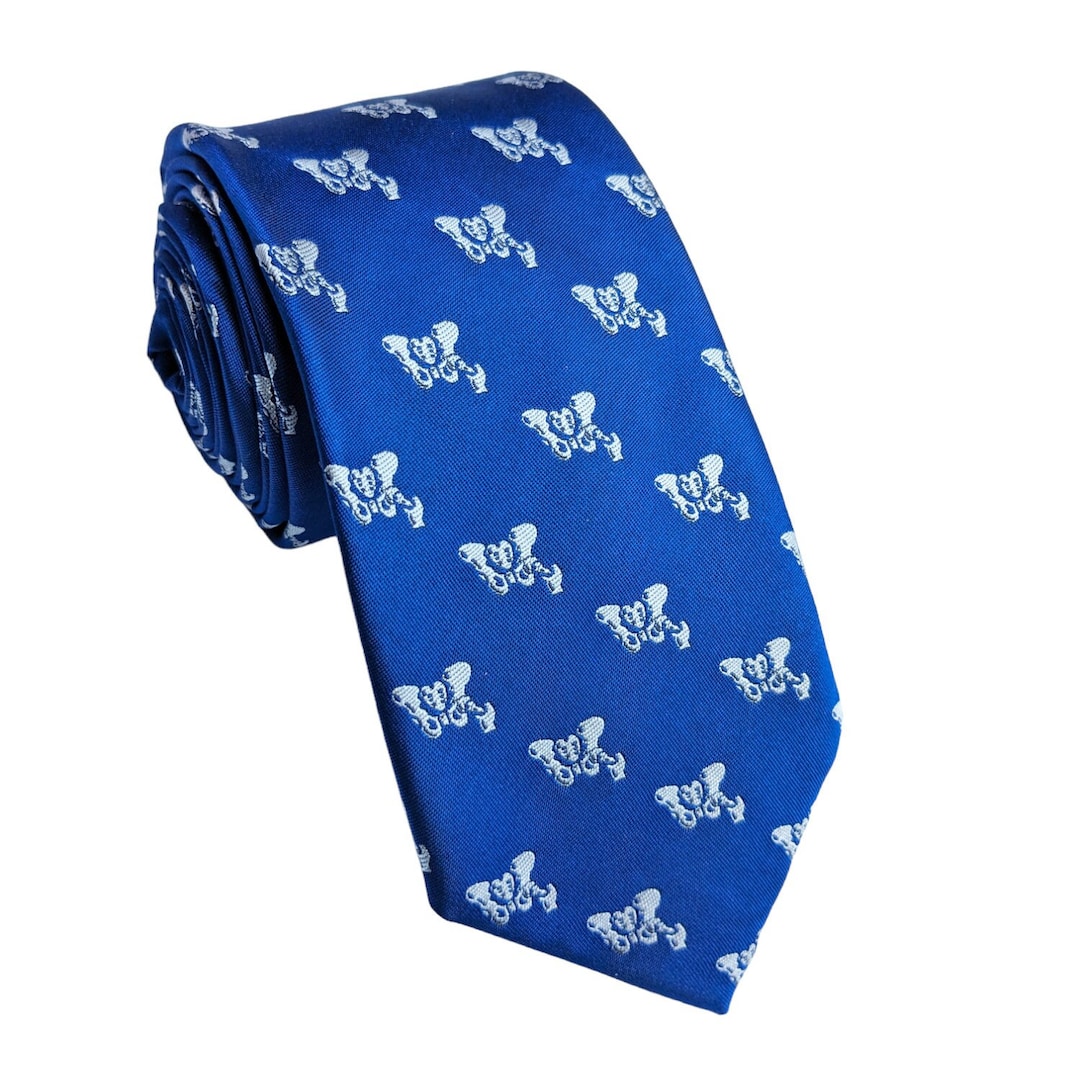 Bones Necktie, Doctor Tie, Hip Bones Necktie, Orthopedic Surgeon Gift ...