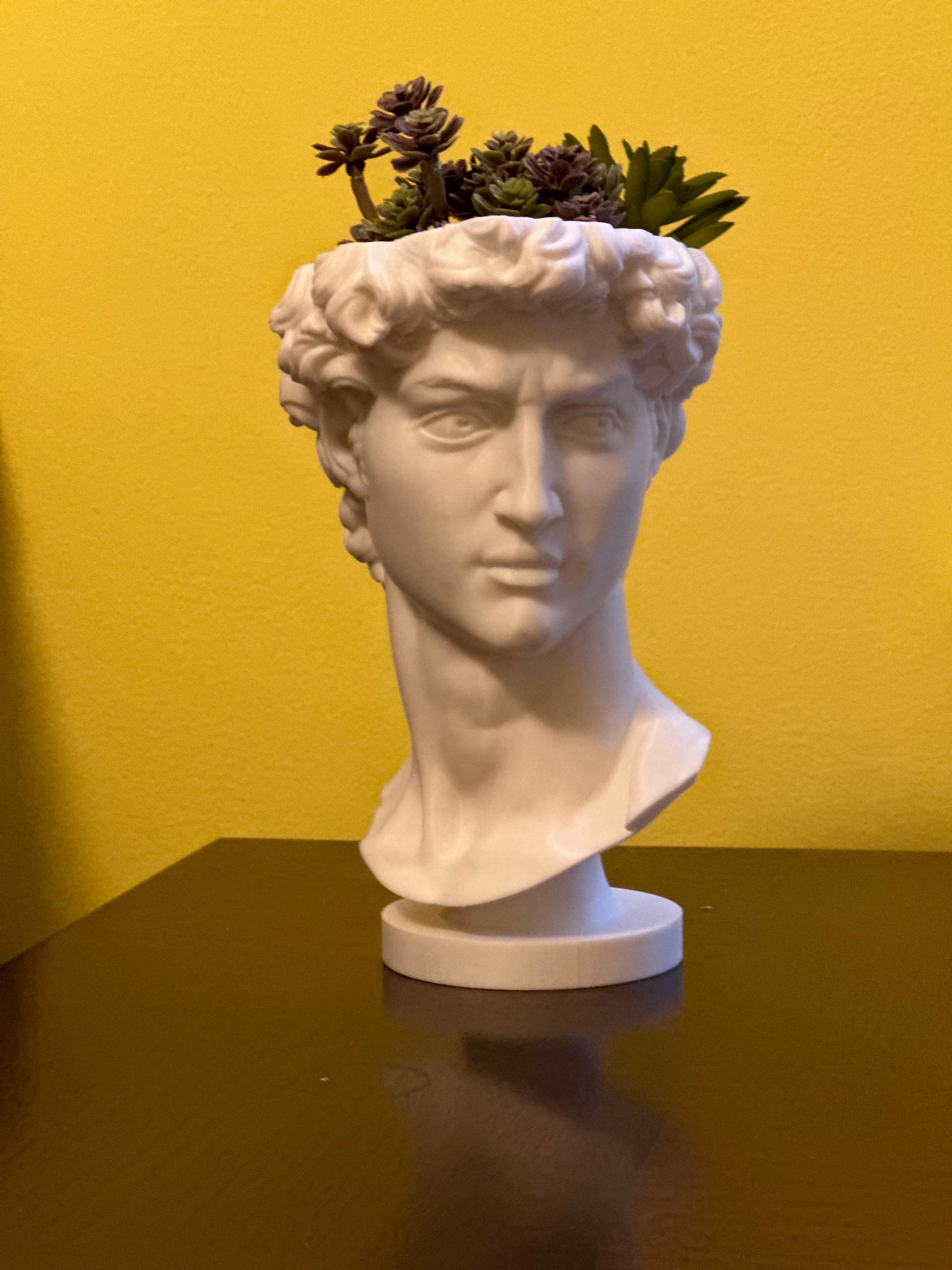 Michelangelos David Planter Flower Succulent Pots - Etsy