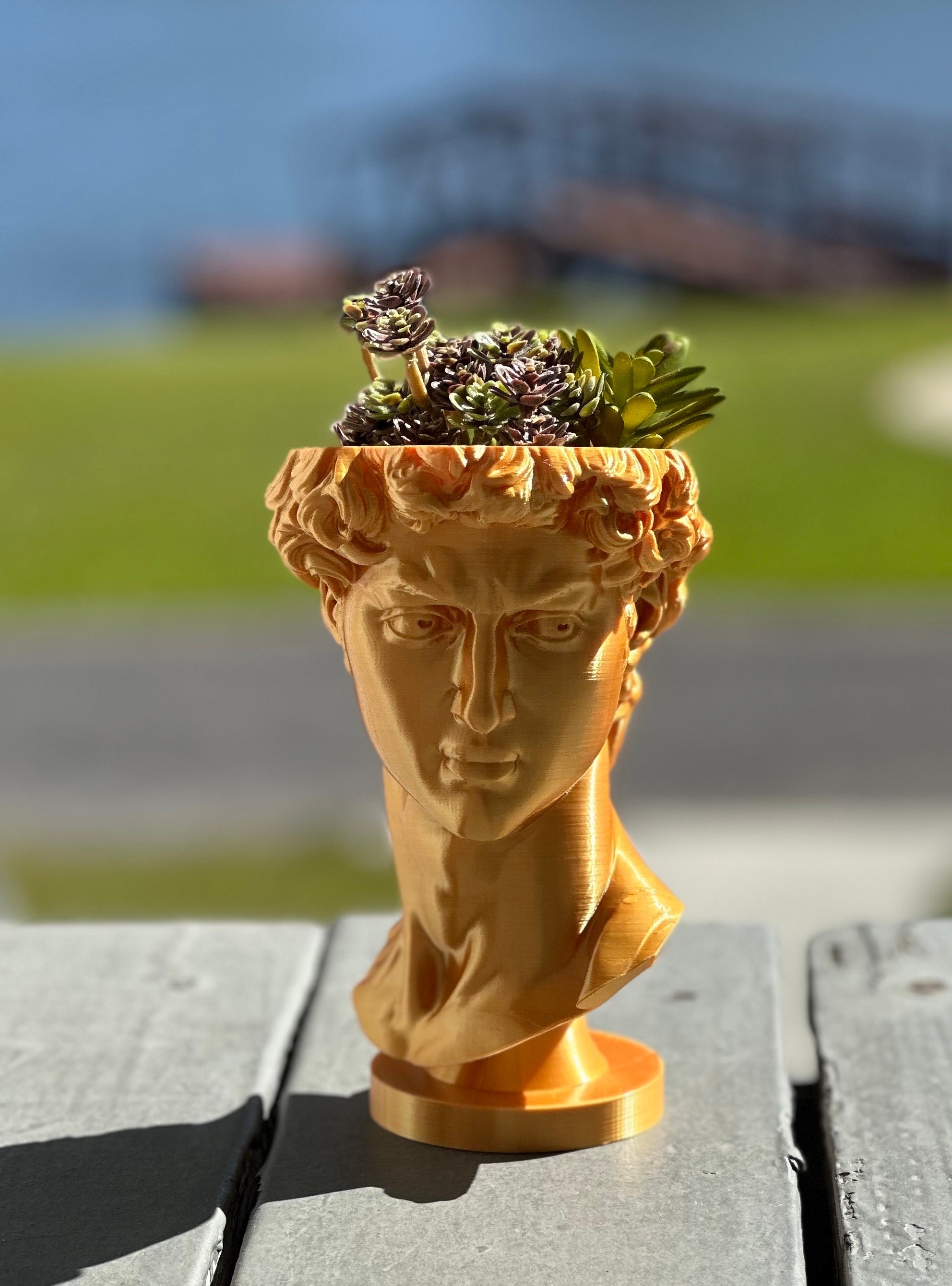 Michelangelos David Planter Flower Succulent Pots - Etsy