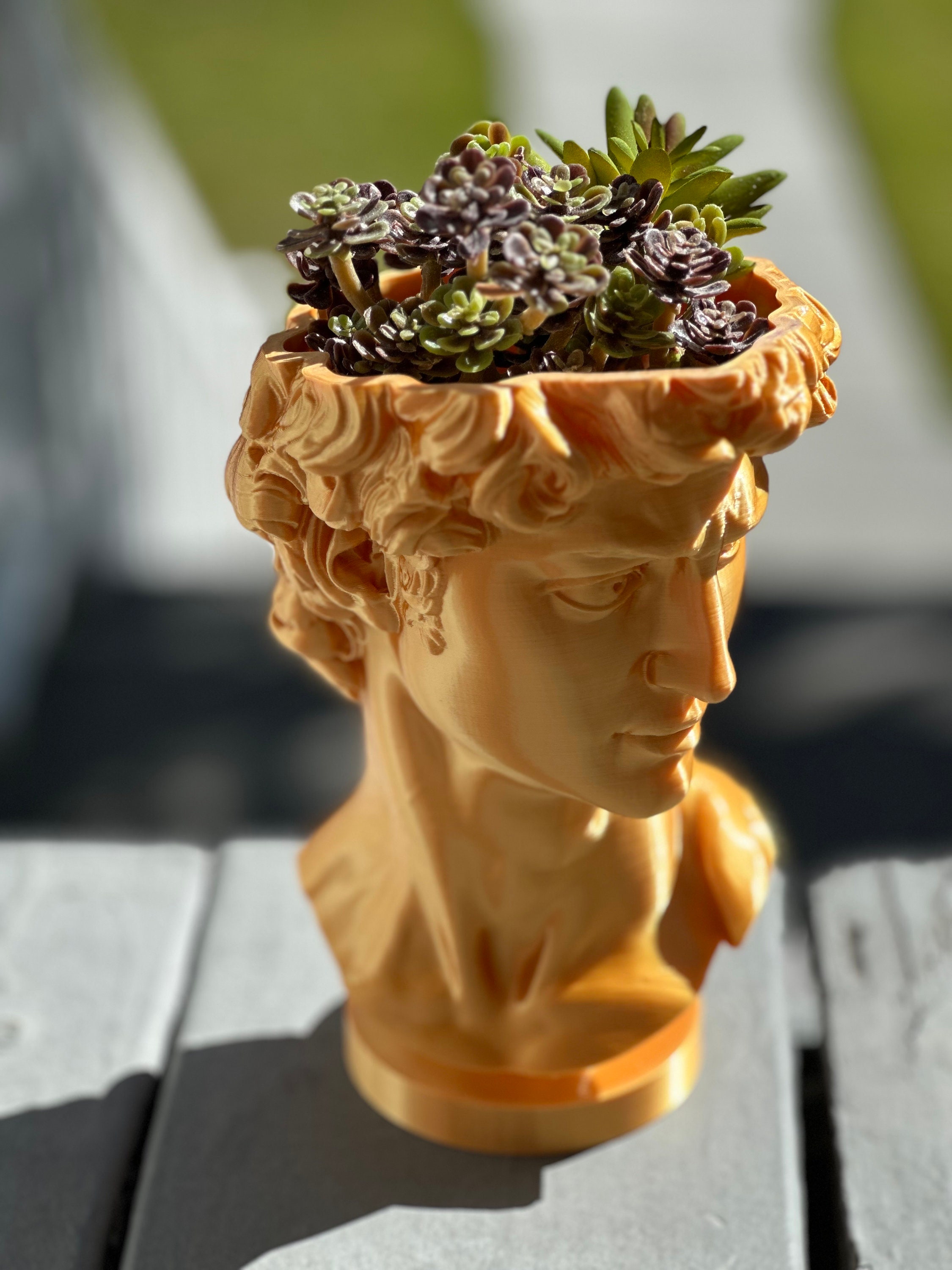 Michelangelos David Planter Flower Succulent Pots - Etsy