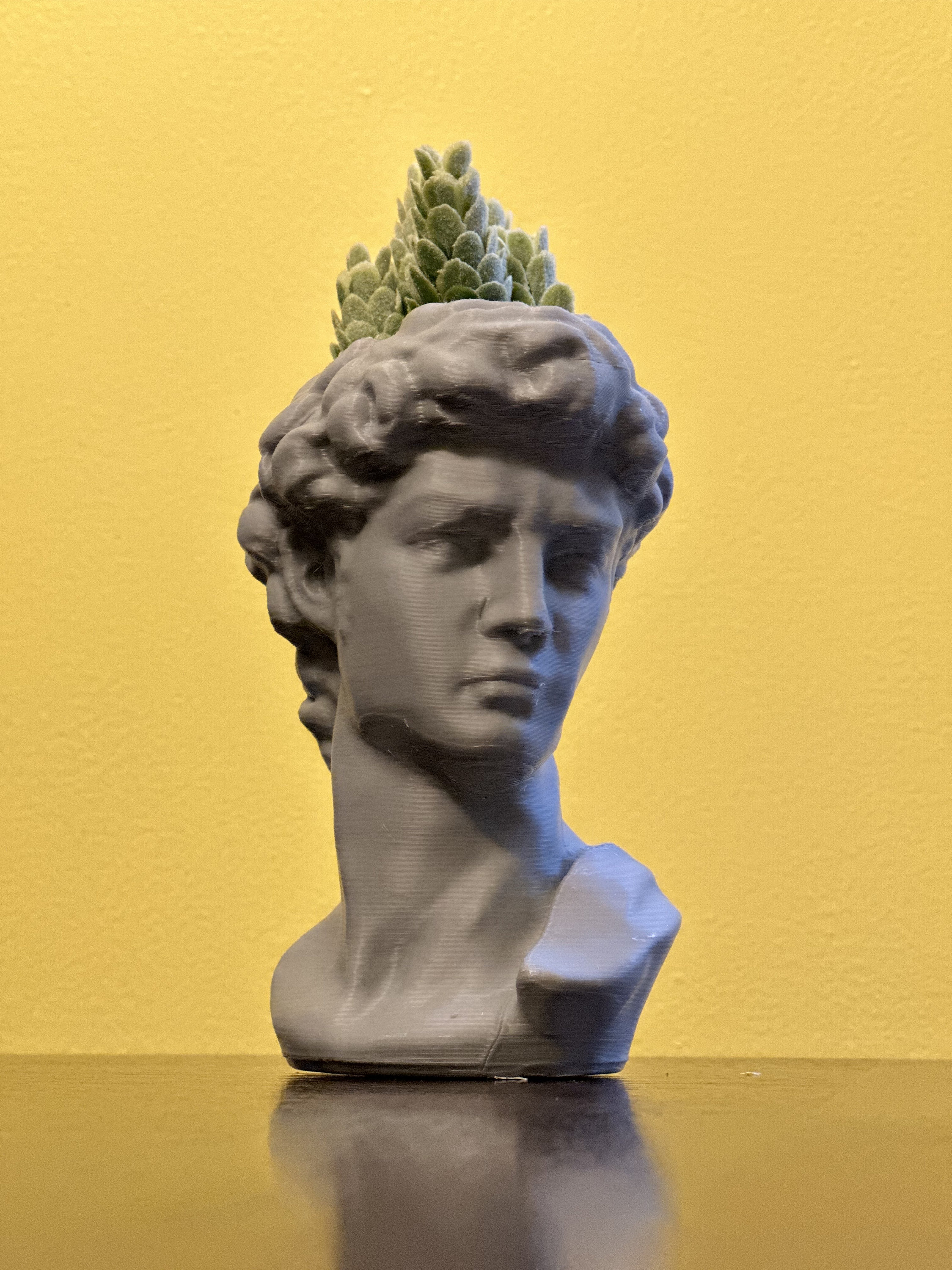 Michelangelos David Planter Flower Succulent Pots - Etsy