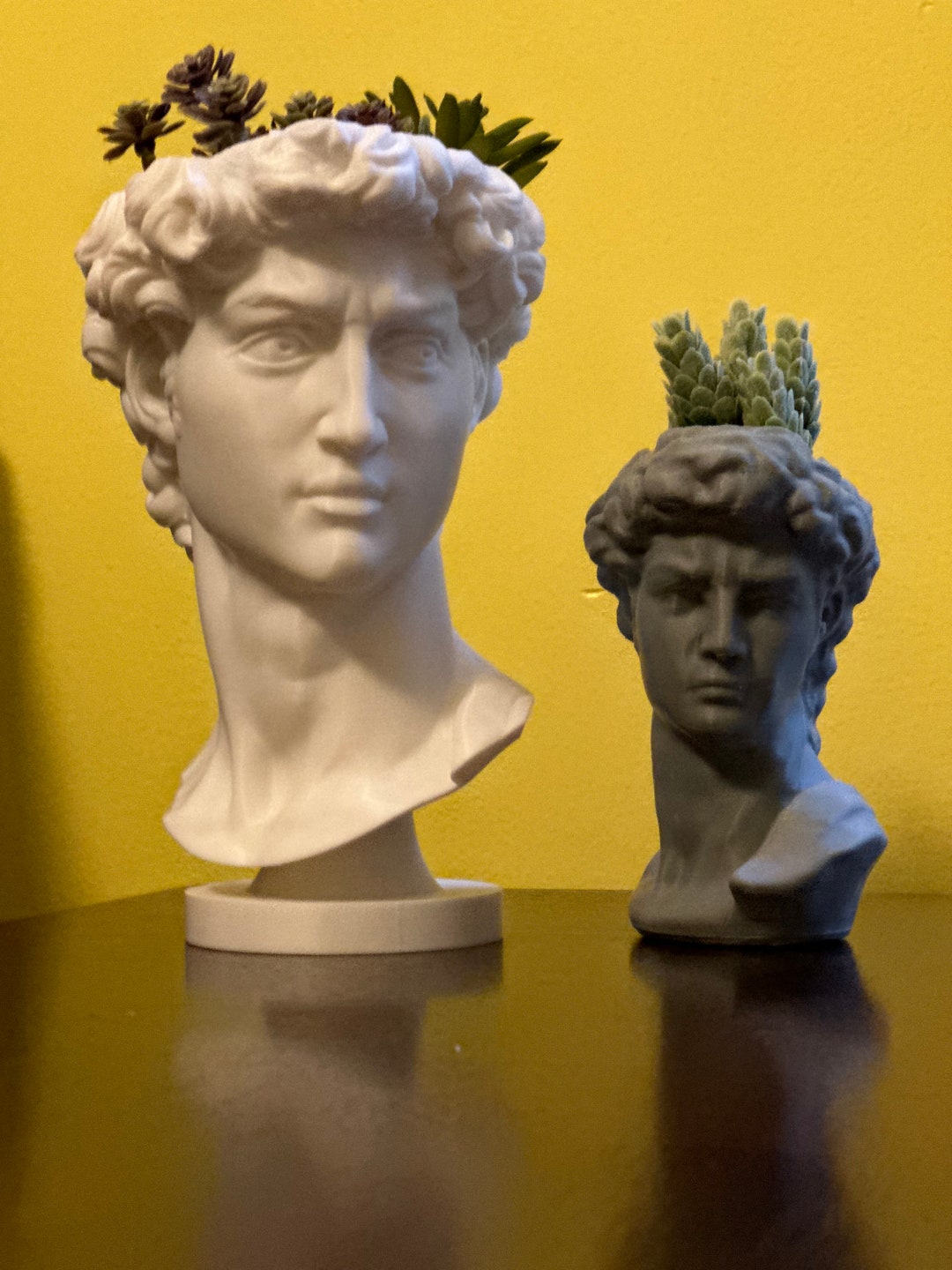 Michelangelos David Planter Flower Succulent Pots - Etsy