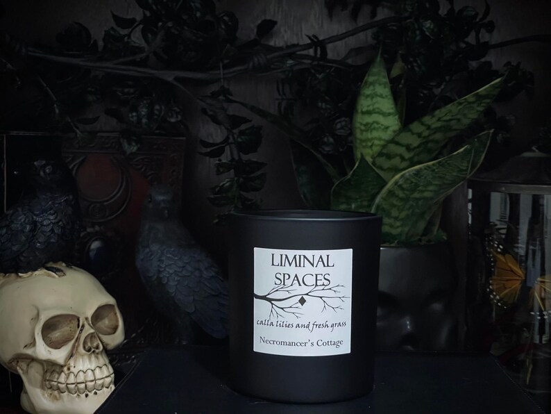 Liminal Spaces Candle (fresh Cut Grass and Calla Lily) - Ritual Candle ...