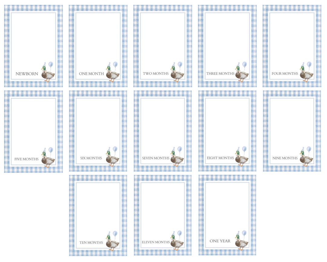 One Lucky Duck Monthly Picture Banner Template, First Birthday Duck ...