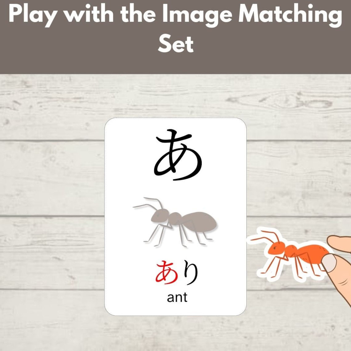 Japanese Montessori Flashcards First Words Study Japanese Vocabulary ...