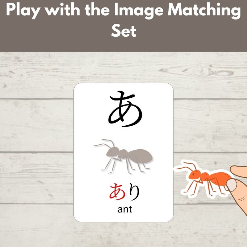 Japanese Montessori Flashcards First Words Study Japanese Vocabulary ...
