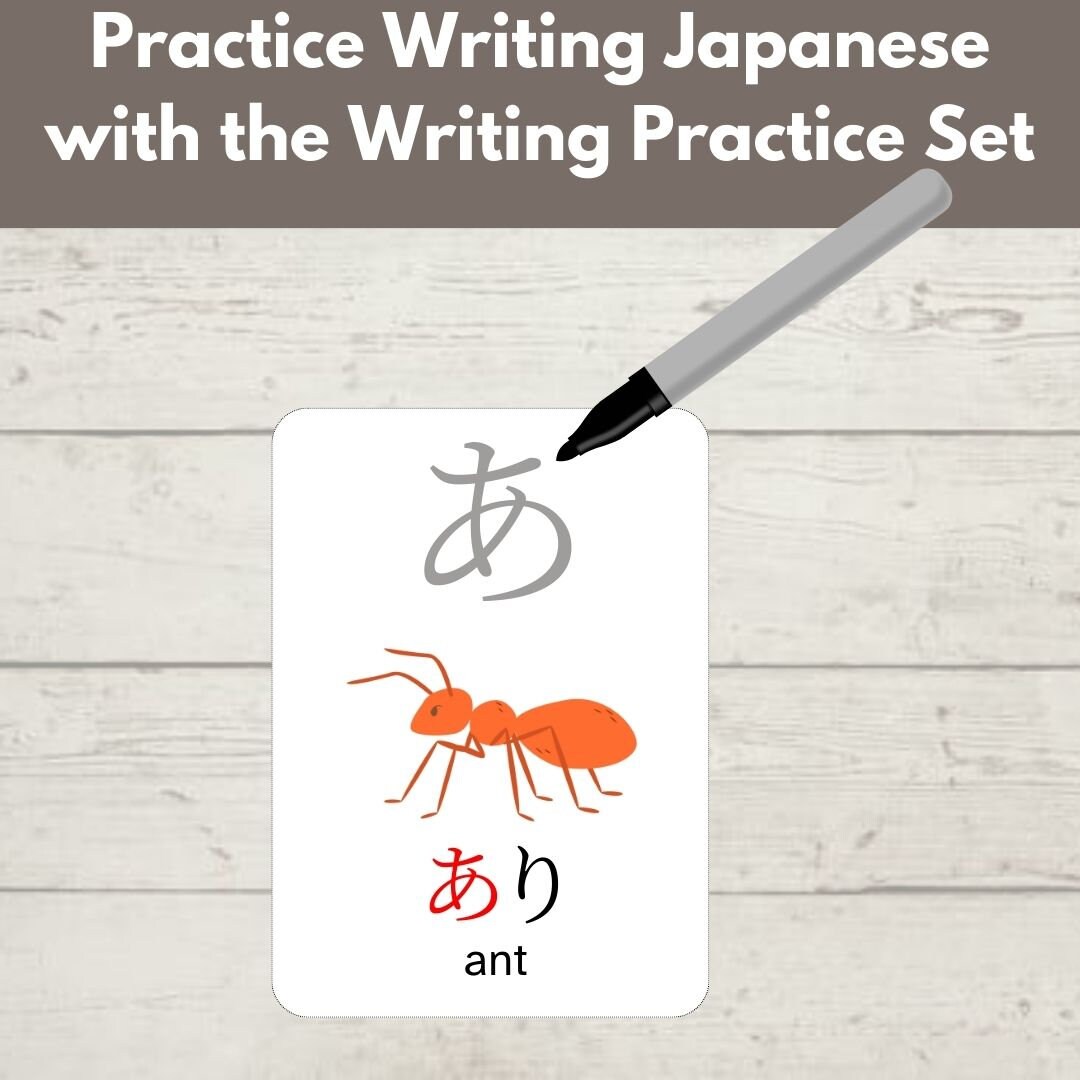 Japanese Montessori Flashcards First Words Study Japanese Vocabulary ...