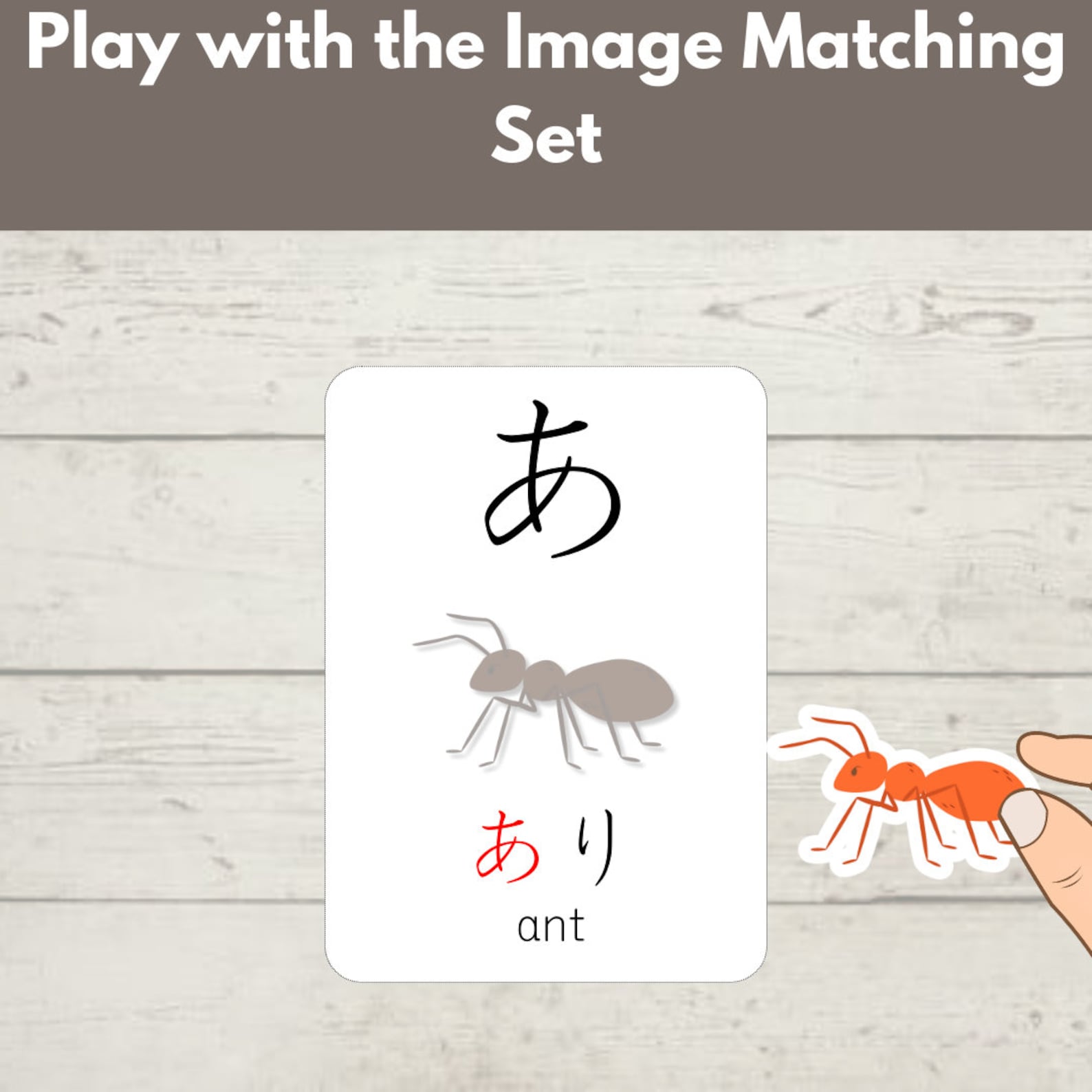 Japanese Montessori Flashcards First Words Study Japanese Vocabulary ...