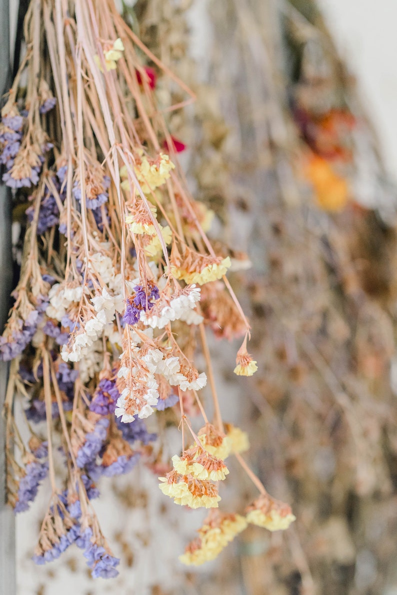 Flower Highlight Covers - Etsy