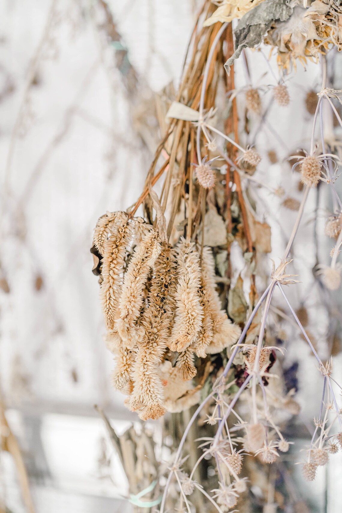 Flower Highlight Covers - Etsy