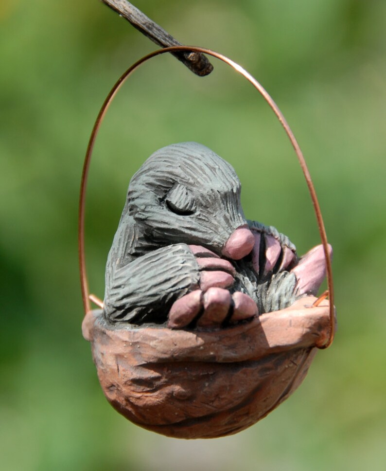 Sleeping Mole Walnut Ornament - Etsy