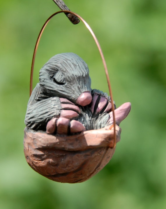 Sleeping Mole Walnut Ornament - Etsy