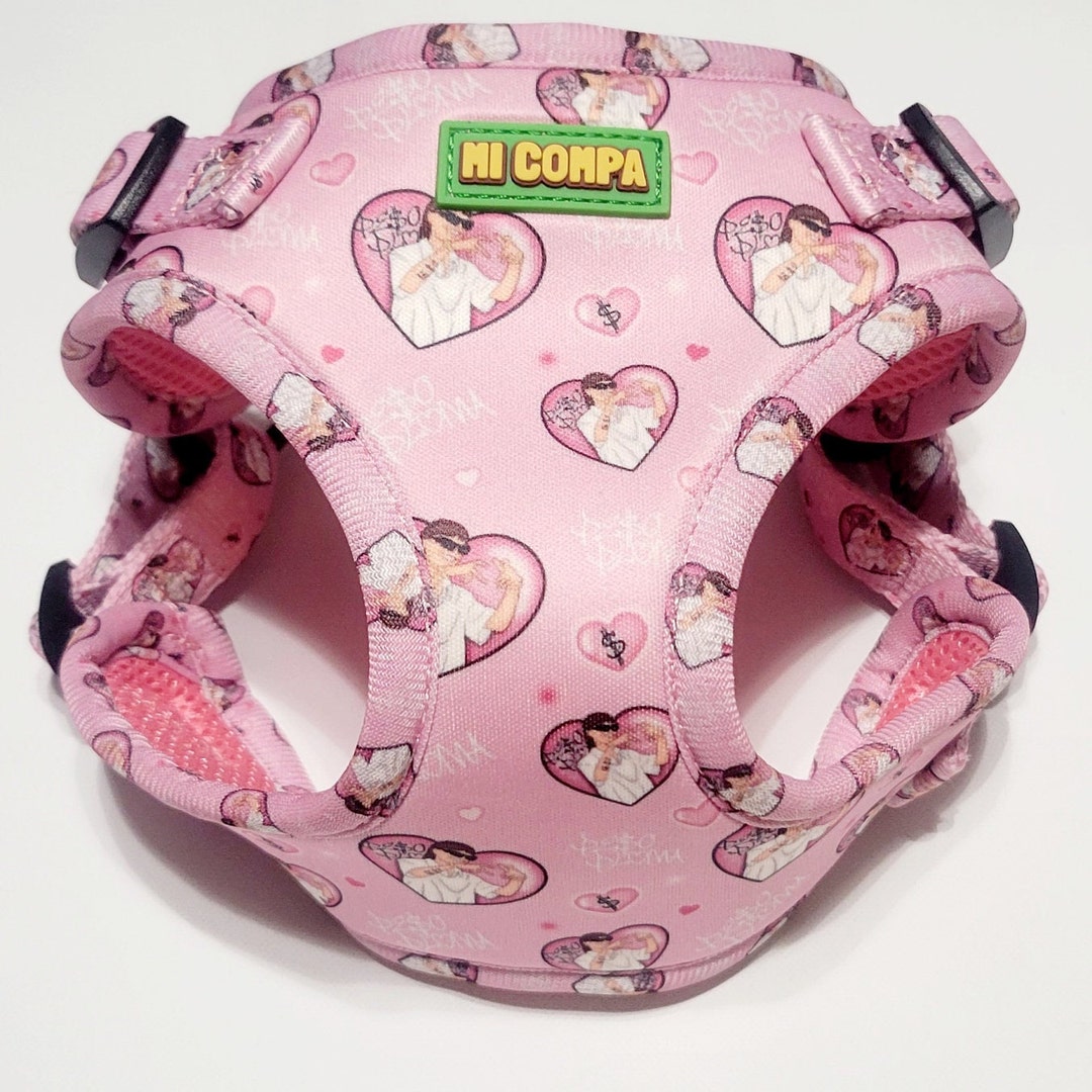 Pink Peso Pluma Pet Harness - Etsy