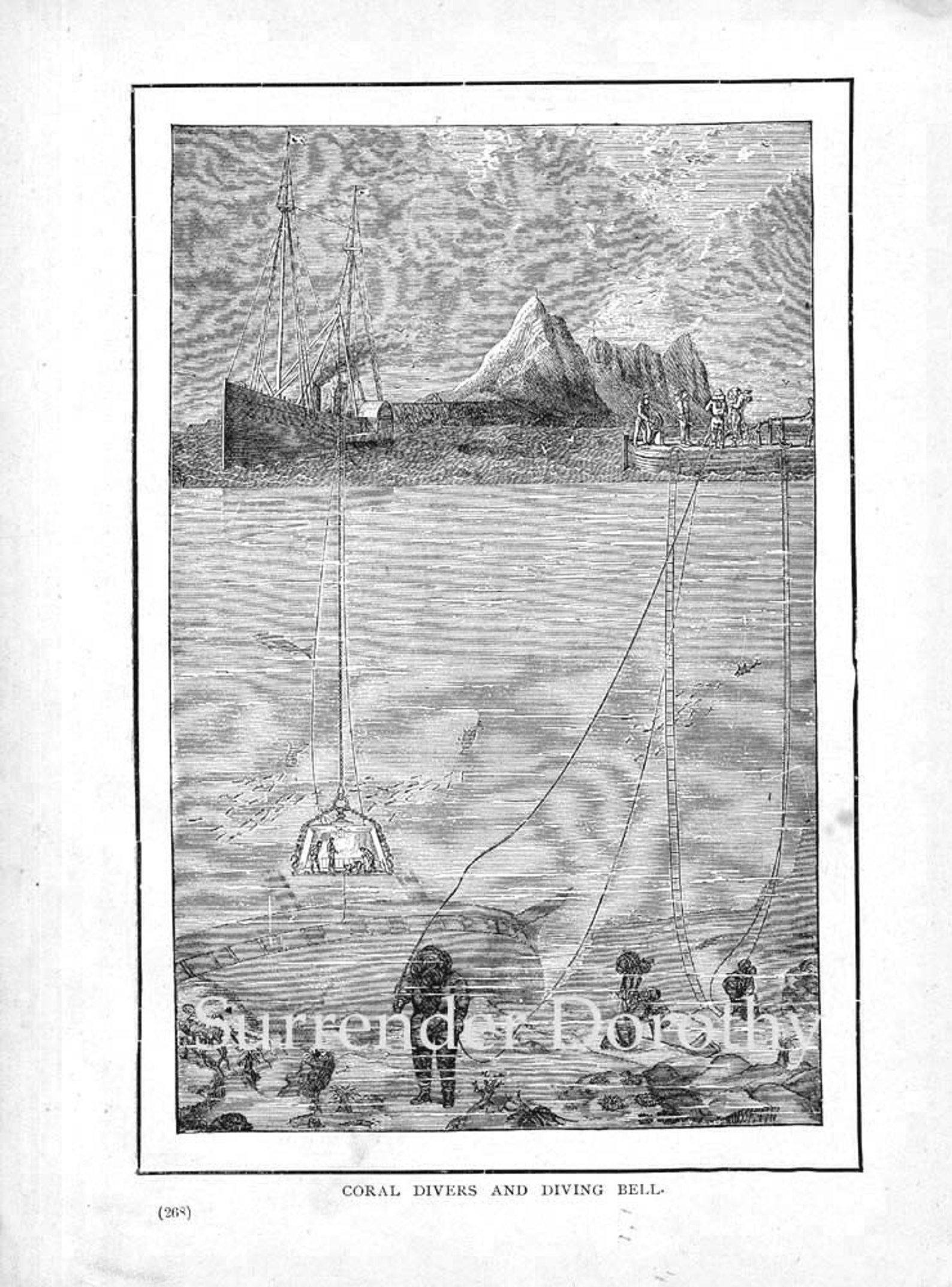 Coral Divers Diving Bell Vintage Victorian Natural History | Etsy