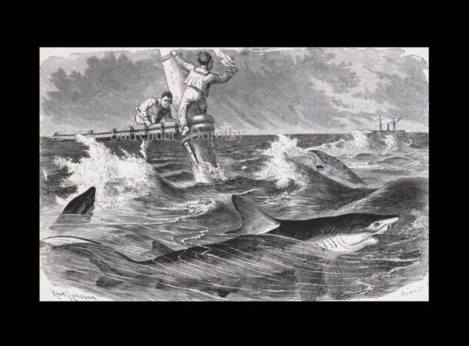 Sharks Sinking Ship Crew Victorian Era 1870s SOS Vintage Natural ...