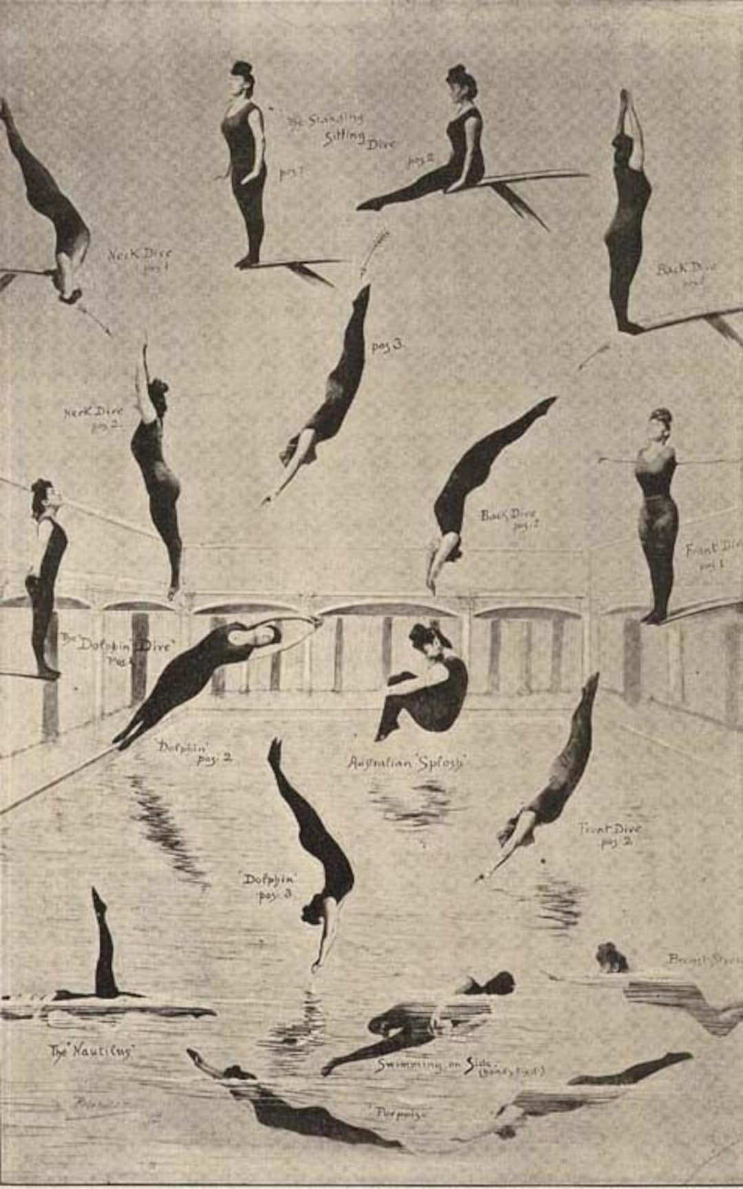 Annette Kellerman's Feats of Diving Swimming Fitness Illustration Chart ...