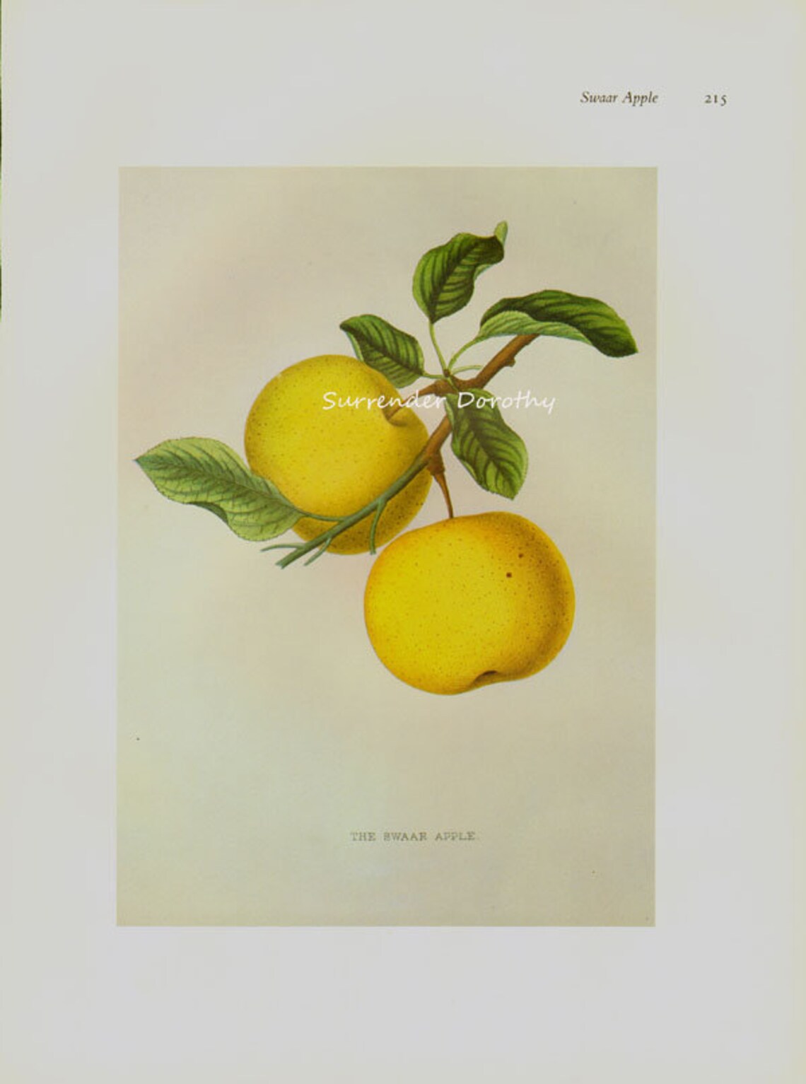 Swaar Apple Prestele Vintage Agriculture Poster Print - Etsy