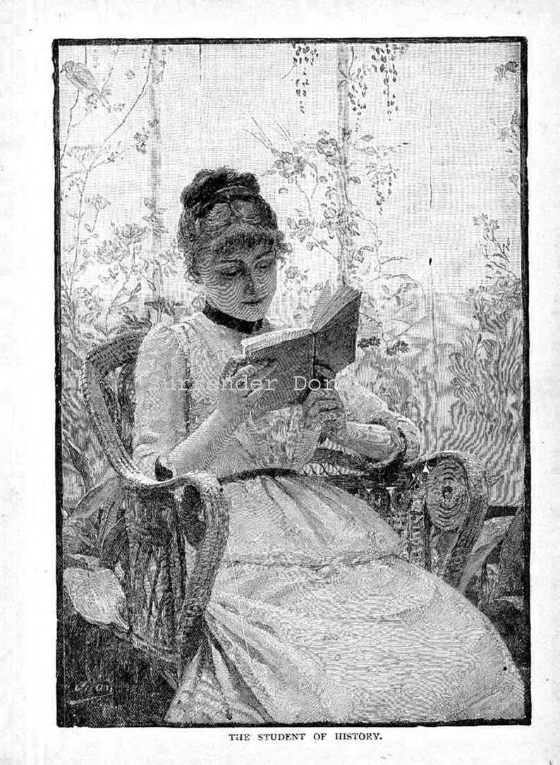 Student Of History Pretty Woman Original Victorian Engraving | Etsy