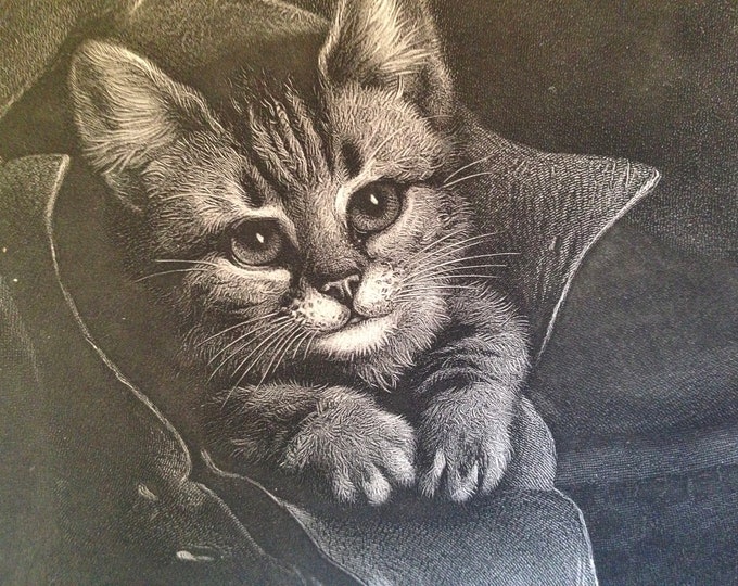 Puss in Boots Frank Paton 1896 Antique Cat Kitten Engraving to Frame ...
