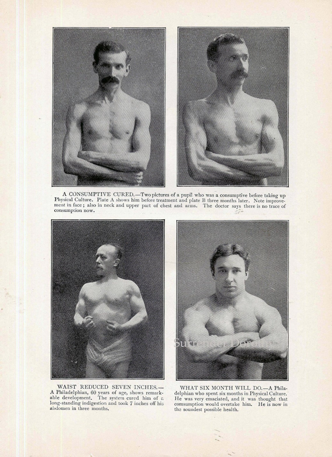 Male Bodybuilders 1908 Edwardian Vintage Fitness Rotogravure | Etsy
