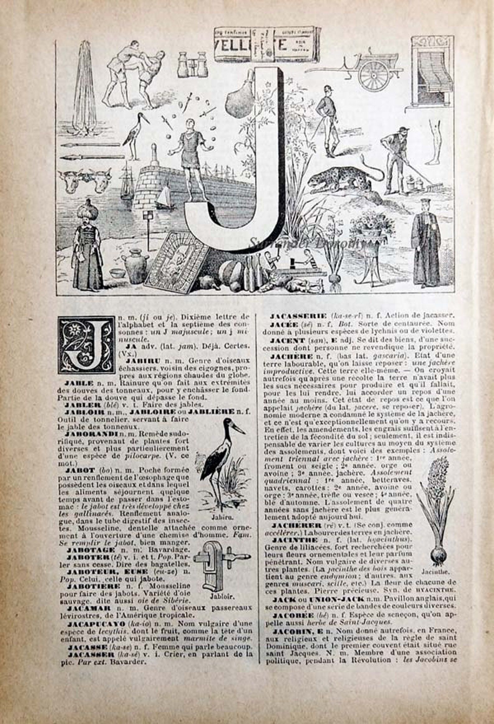 Letter J French Dictionary Alphabet Chart Paris France to Frame Black ...