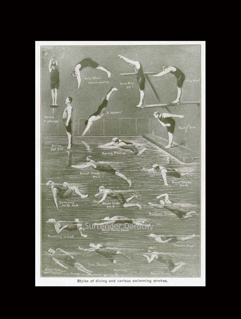 Men Swimming Diving Athletic Reference Chart Rotogravure - Etsy