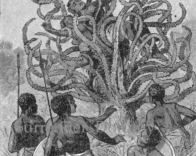 Fabled Man-eating Tree of Africa 1882 Bizarre Mythical Victorian ...