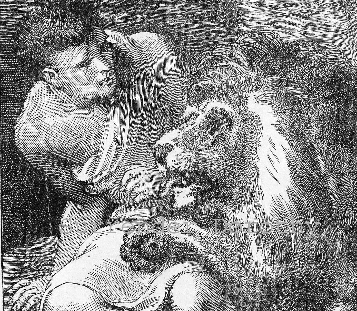 Androcles Lion Victorian Engraving of Old Friends 1892 Original Vintage ...
