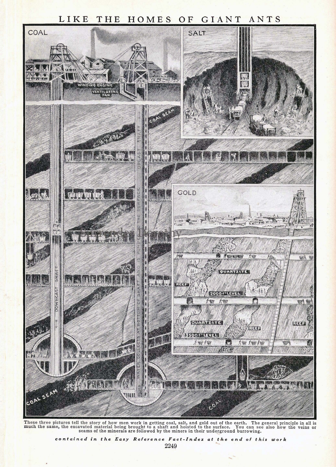 Coal Mine Chart Vintage Industry Roaring Twenties Illustration - Etsy