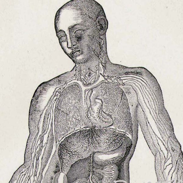 Victorian Medical - Etsy