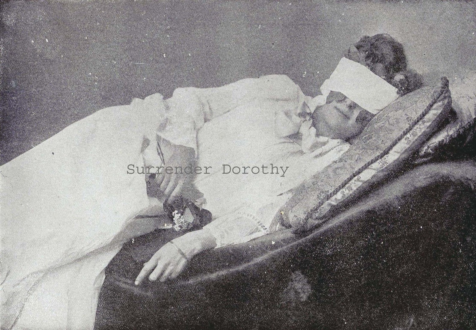 Edwardian Beauty Spa Illustration Elder Leaf Bandage for A Smooth Brow ...