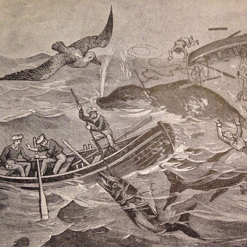 Sea Monsters of the Deep Weird Victorian Maritime Mythology Folklore ...