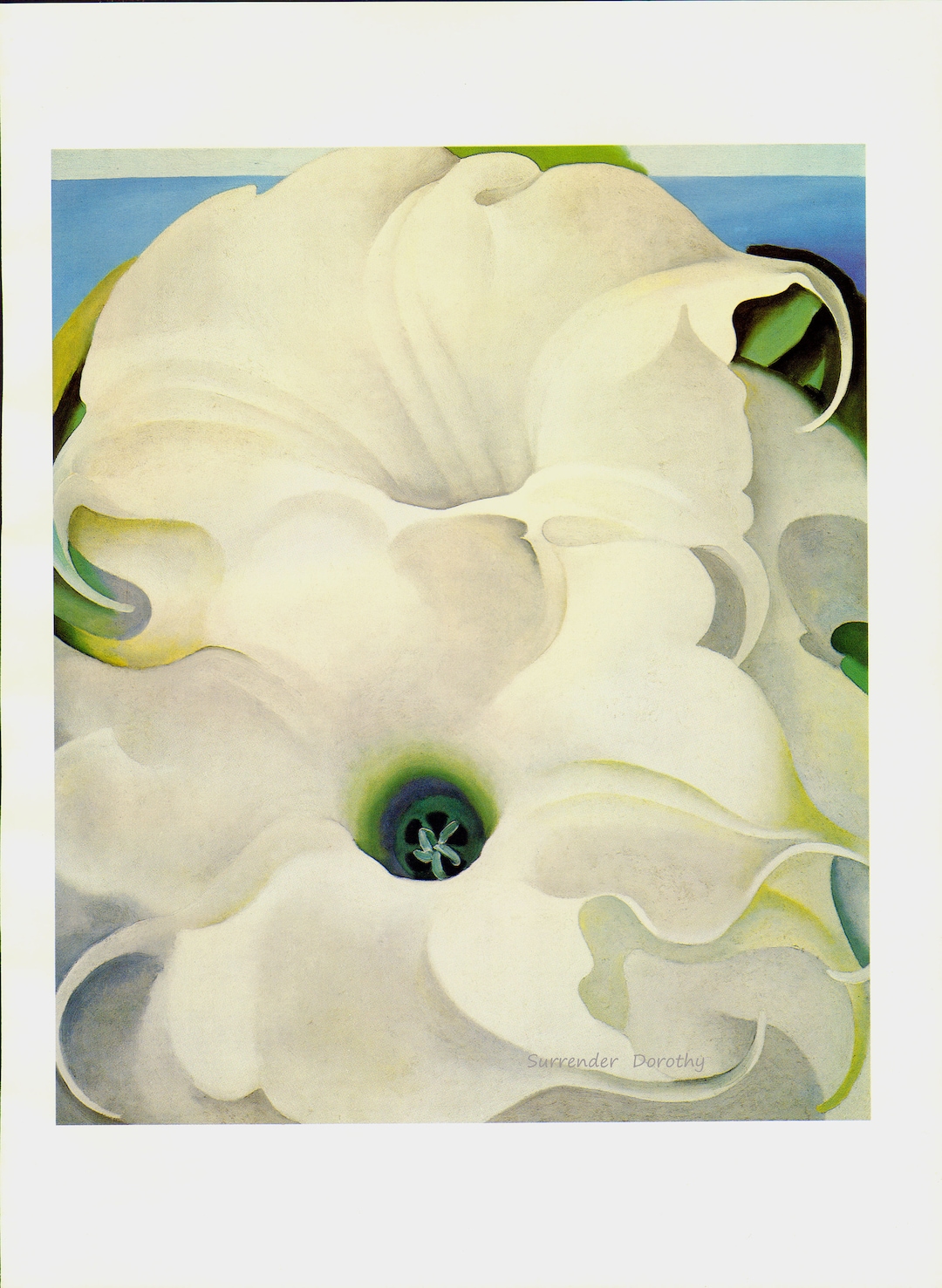 Georgia O'keefe Two Jimson Weeds 1938 Botanical Color Lithograph Poster ...