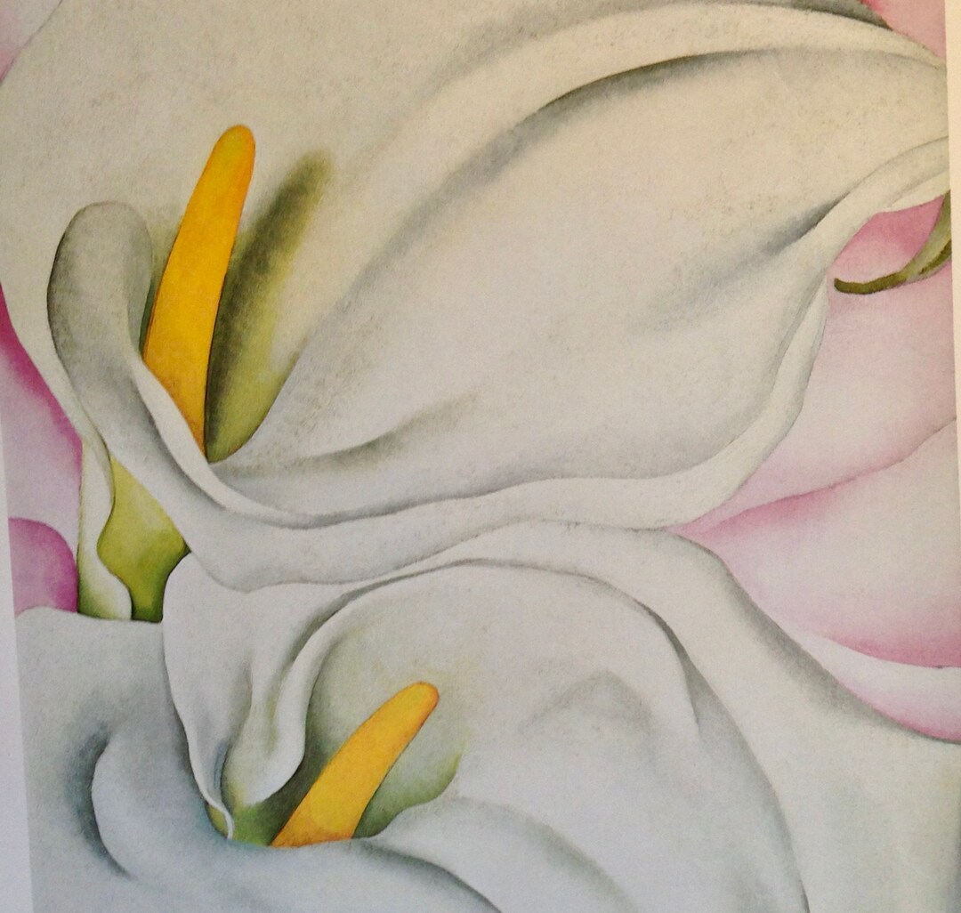 Georgia O'keefe Two Calla Lilies on Pink 1928 Botanical Color ...