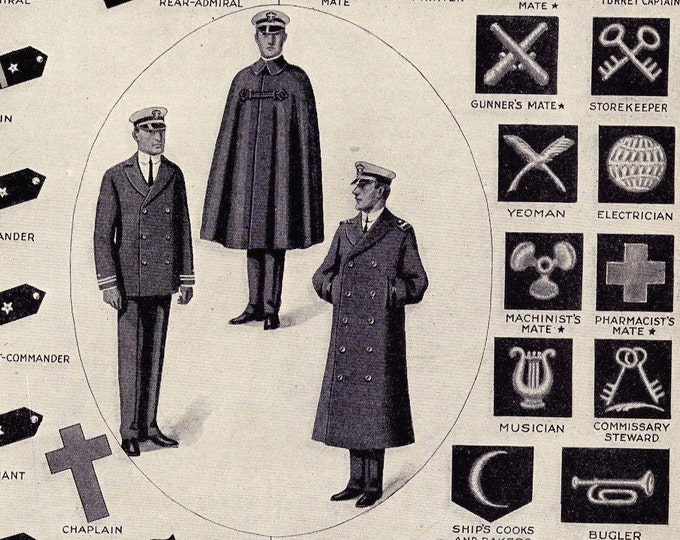 Marks of Rank and Service Military Men in Blue Naval Officer Chart ...