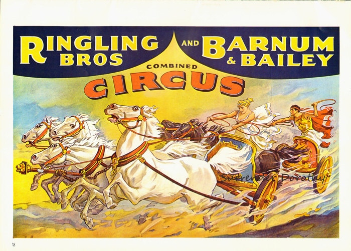 Roman Chariot Race Circus Poster Ringling Bros Barnum & Bailey | Etsy