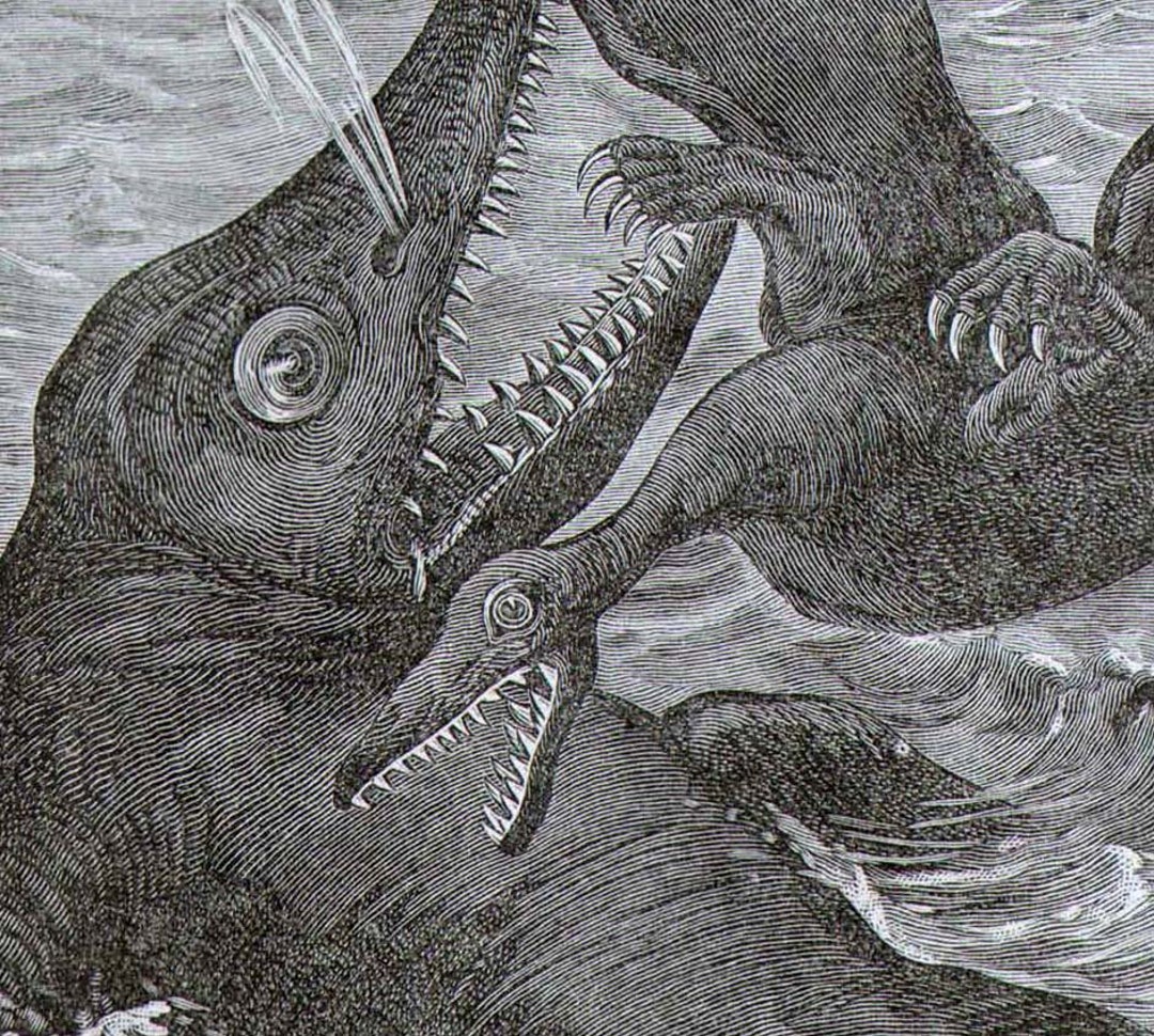 Great Fish Lizard and Flying Reptile 1887 Victorian Natural - Etsy