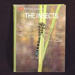 Insects Life Book Children Entomology Natural History Lavishly ...